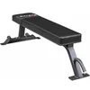 Soldes d'hiver 2026 : Banc de musculation plat ProClubLine Noir 160x63 ...